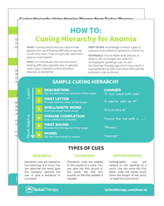 Cueing Hierarchy Treatment for Word Finding in Aphasia: How To