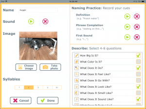 10 Aphasia Activities Using Naming Therapy