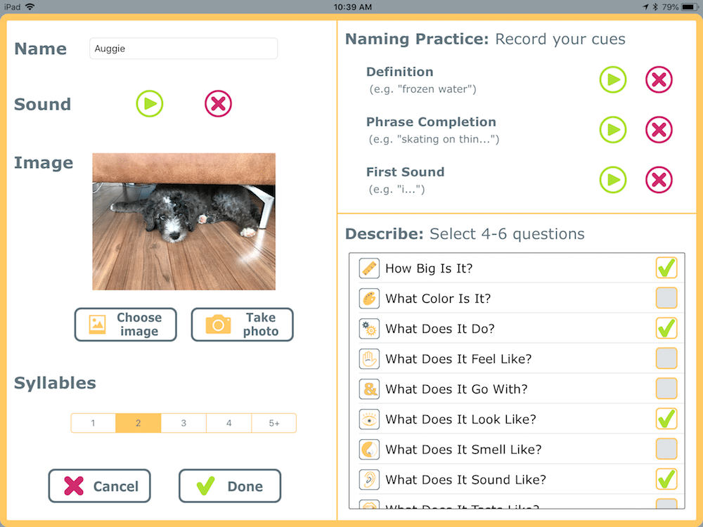 10 Aphasia Activities Using Naming Therapy