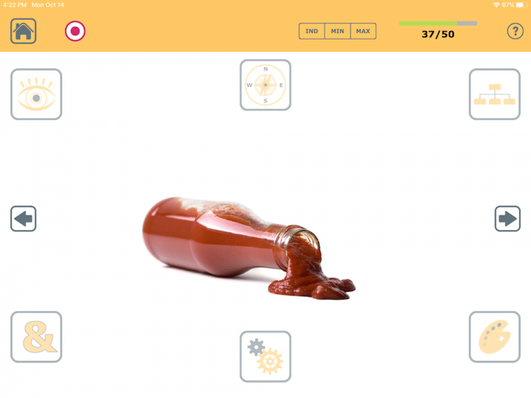 Semantic Feature Analysis (SFA) for Anomia in Aphasia: How-To Guide