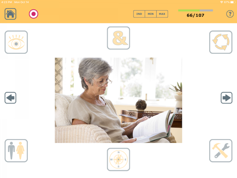 Semantic Feature Analysis (SFA) for Anomia in Aphasia: How-To Guide