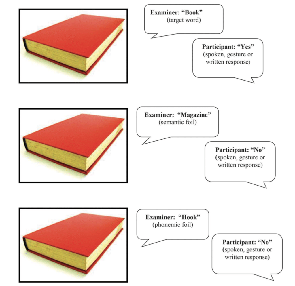 Treatment of Wernicke's Aphasia (TWA) Guide for Speech Therapy