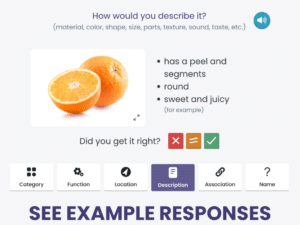 Semantic Feature Analysis (SFA) for Anomia in Aphasia: How-To Guide