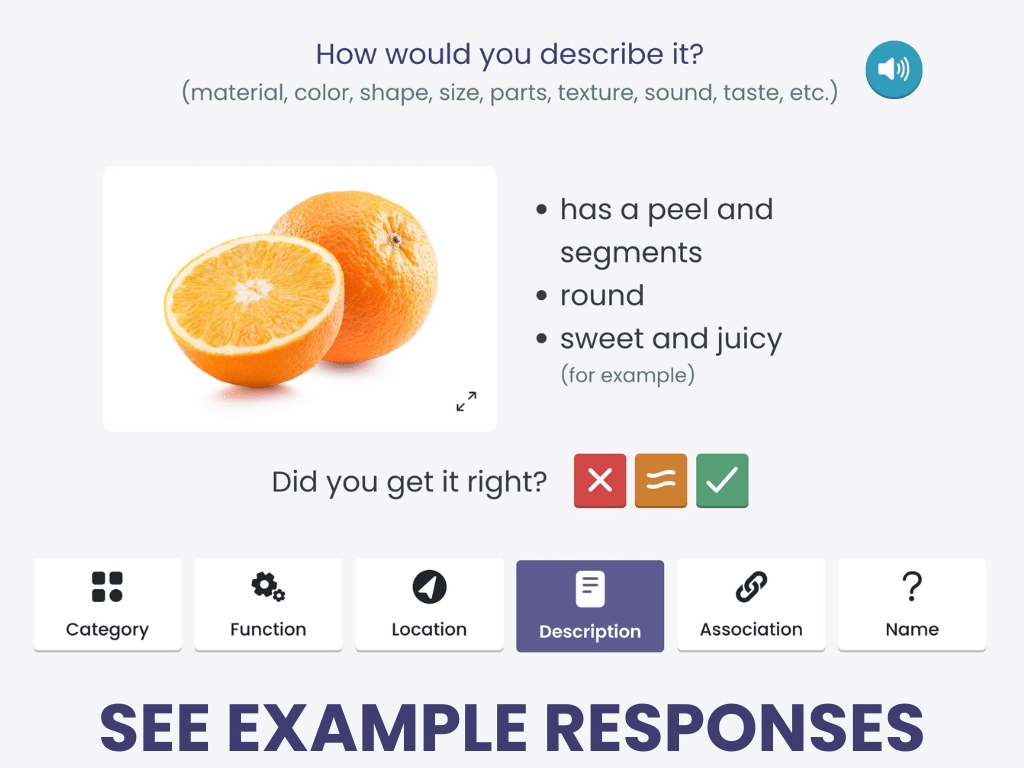 Semantic Feature Analysis (SFA) for Anomia in Aphasia: How-To Guide