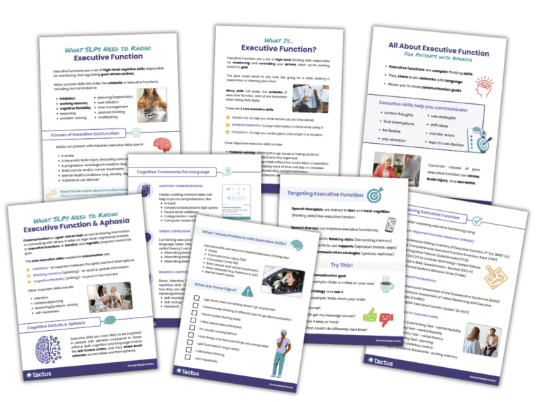 Executive Function and Aphasia: Speech Therapy Essentials