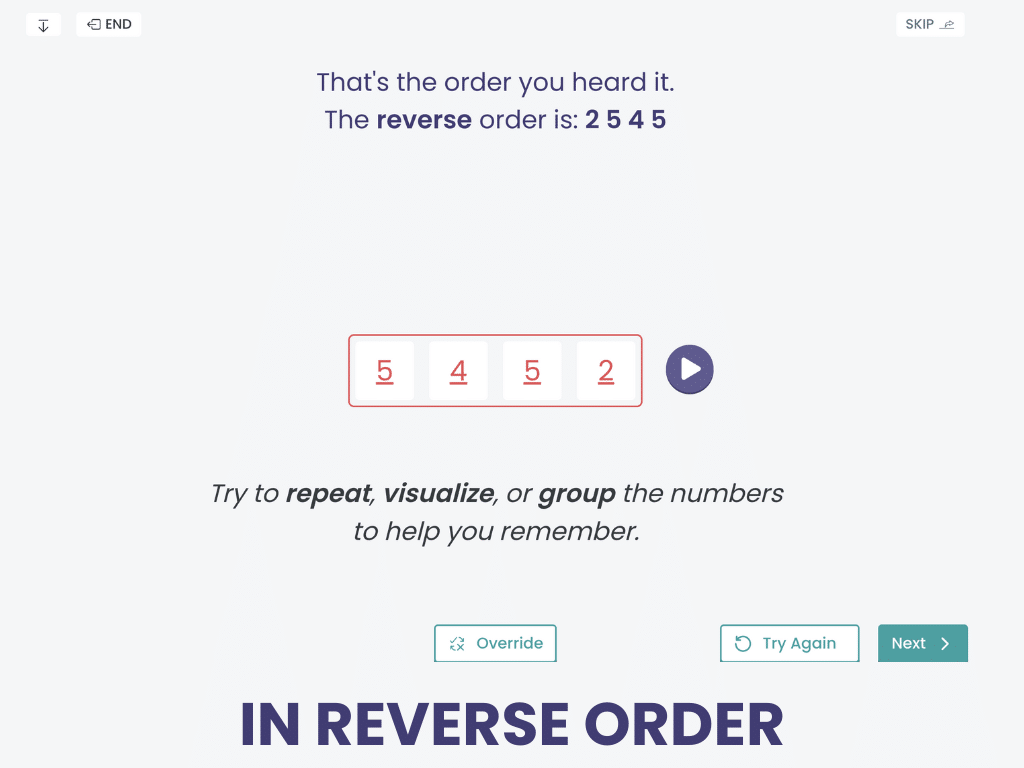 Executive Function and Aphasia: Speech Therapy Essentials
